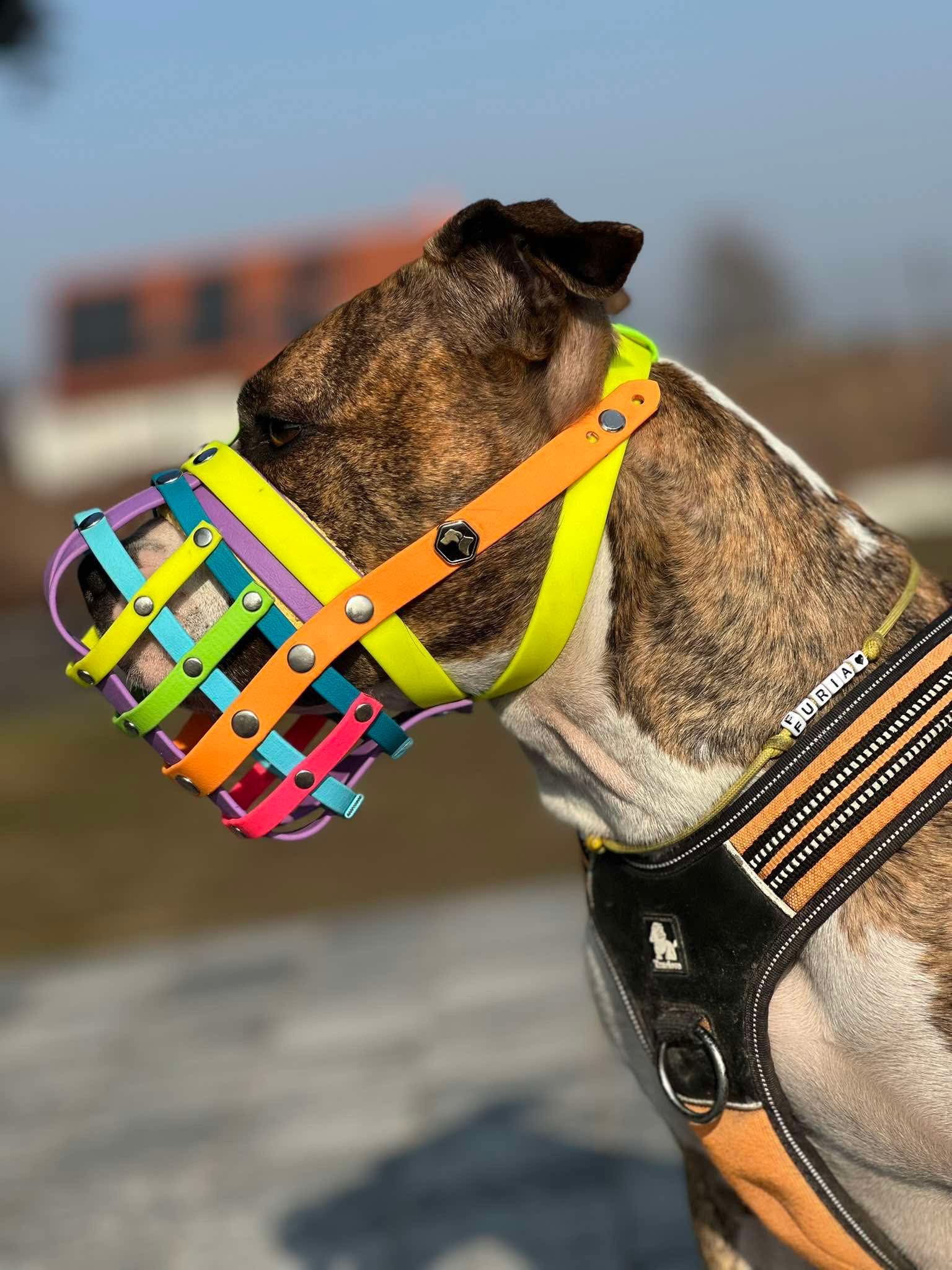 Kaganiec dla psa z taśmy Biothane - Dog in the fog